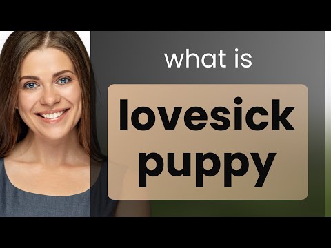 Understanding "Lovesick Puppy": A Guide to English Idioms