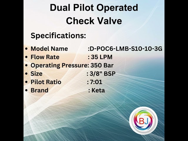 Hydraulic Line Mounted valves - Dual Pilot Operated Check Valve ...
