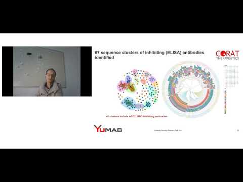 Ultra-fast development of an anti-COVID-19 antibody