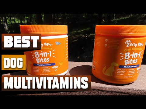 Best Dog Multivitamins In 2024 - Top 10 Dog Multivitamins Review