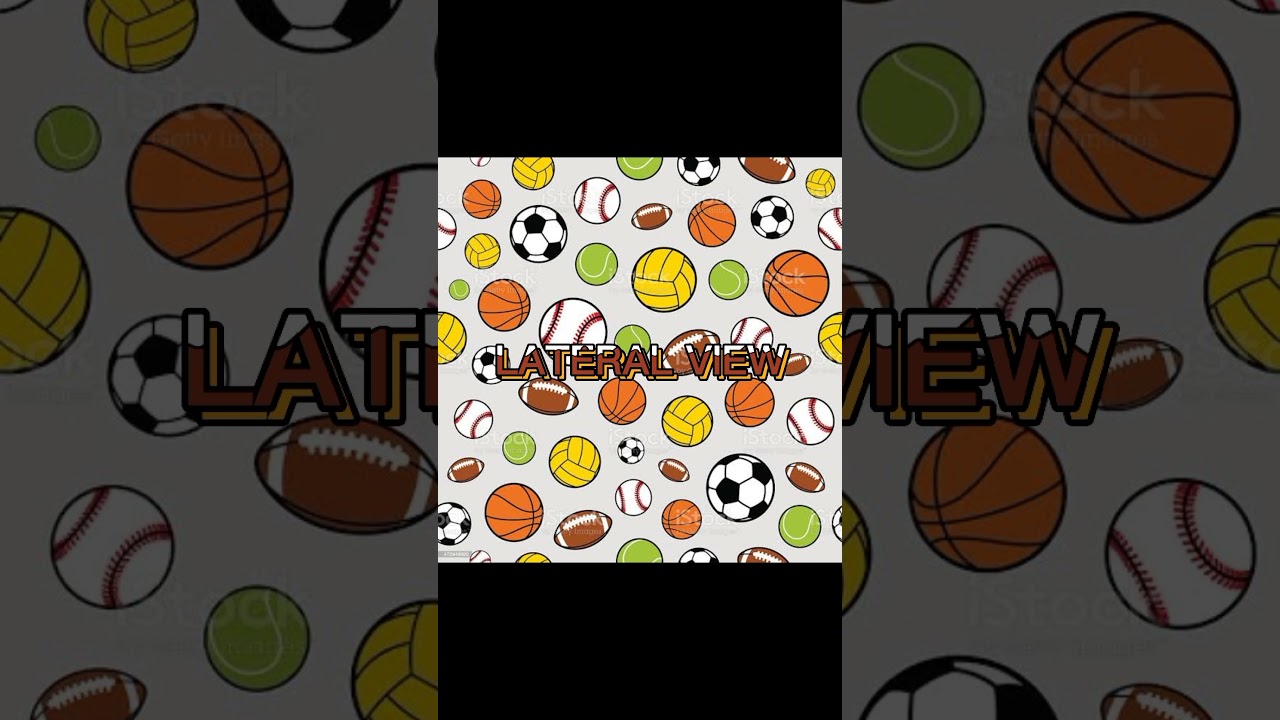 PED 026 MODULE 2 PERFORMANCE