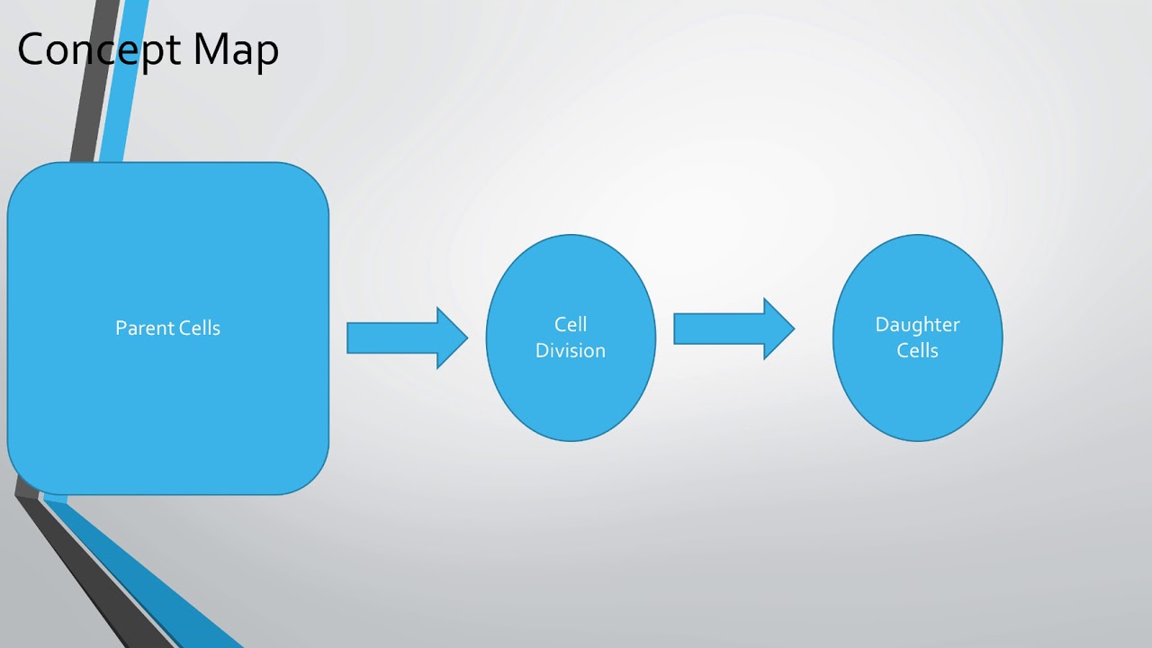 Parent Cell Concept Map