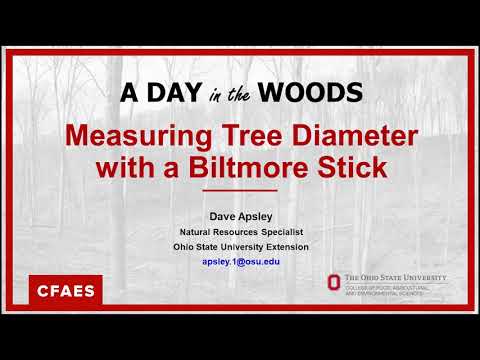 Measuring tree diameter