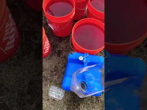 Red~Dye Diesel!!.😳🤯DrainingTank🫣🤓Gallon Bucket’s🤫#shorts #construction #renovation #diy #gas