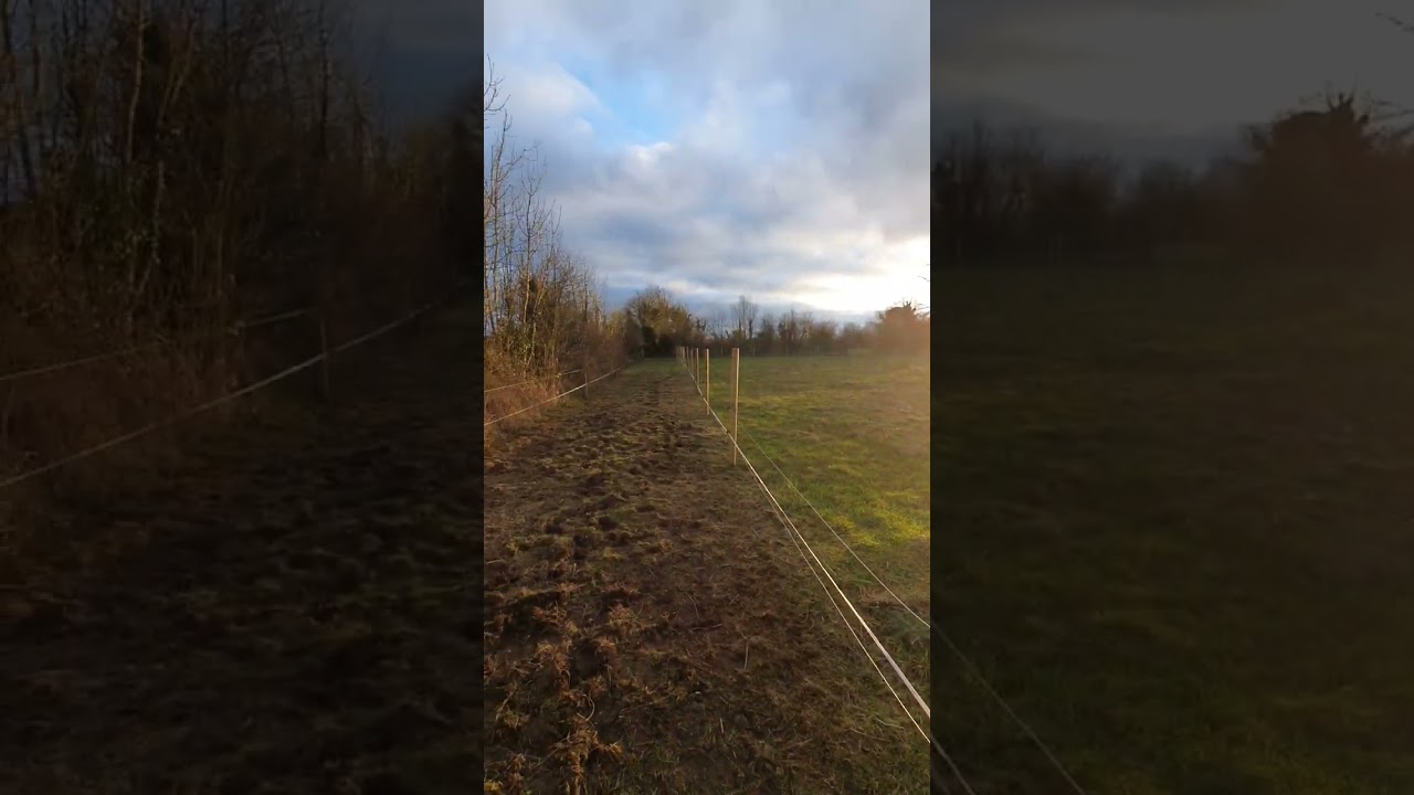 Mini track system/paddock paradise