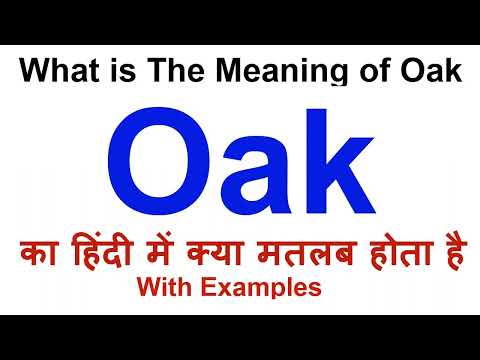 Oak Meaning in Hindi | Oak Definition | Oak Ka Matlab Kya Hota Hai | Oak  in Hindi