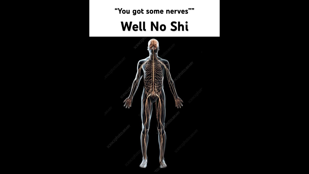 *insert funny caption here* #funnyvideo #memes