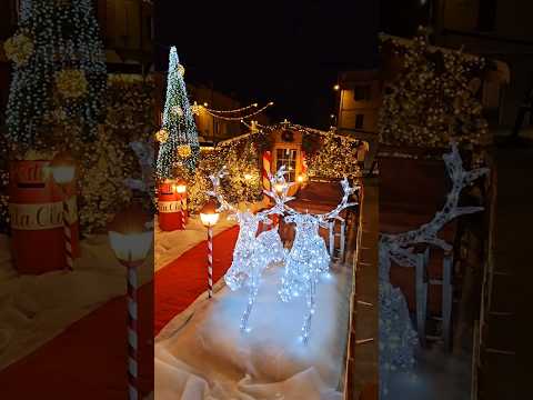 🇮🇹 What do Italians do in December? December is the month of joy for Italians #india #italy