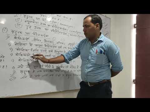 Simple permanent tissue in plant| Class9Bihar Board#parenchyma in Hindi medium#Class9 chapter2