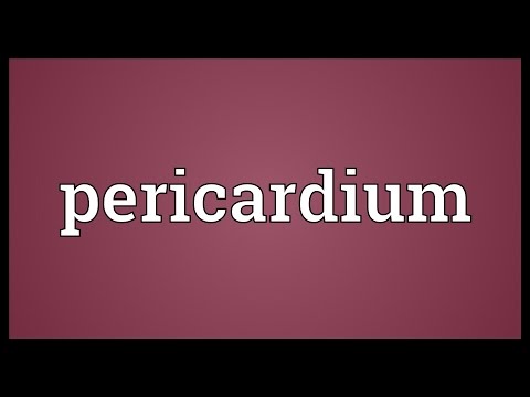 Pericardium Meaning