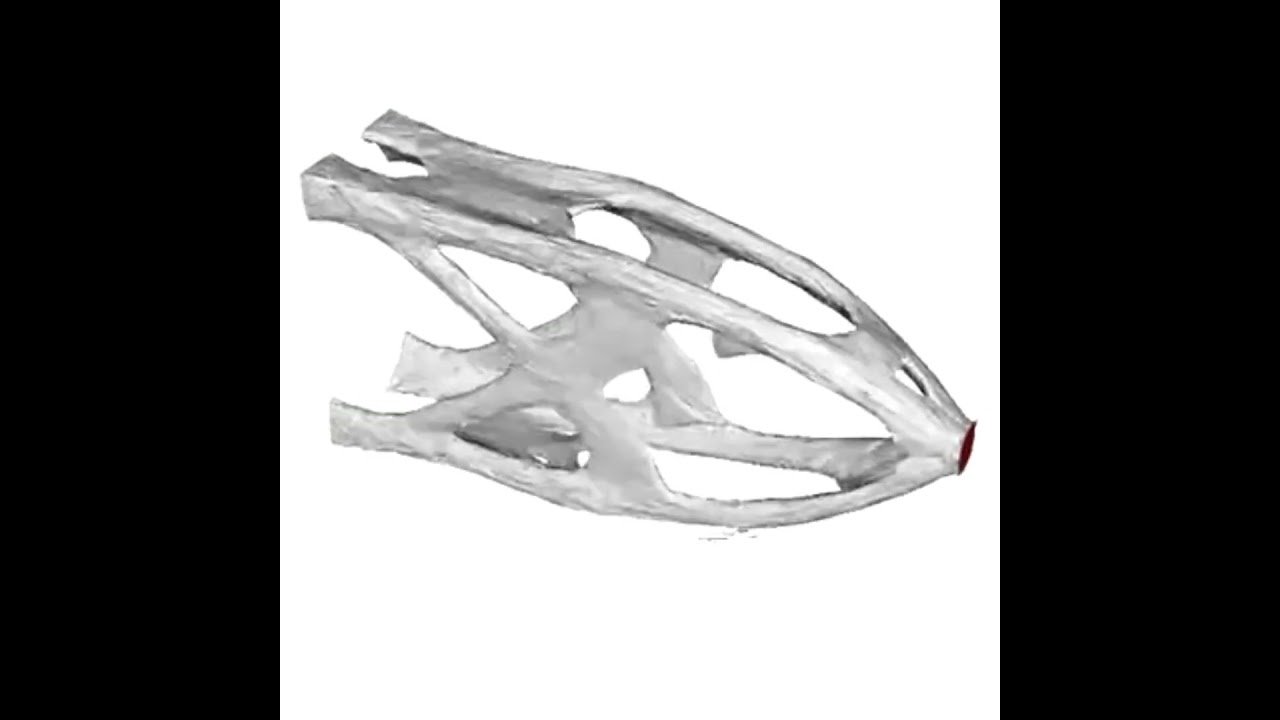 Topology Optimization (Density Method) - 3D Printing Course