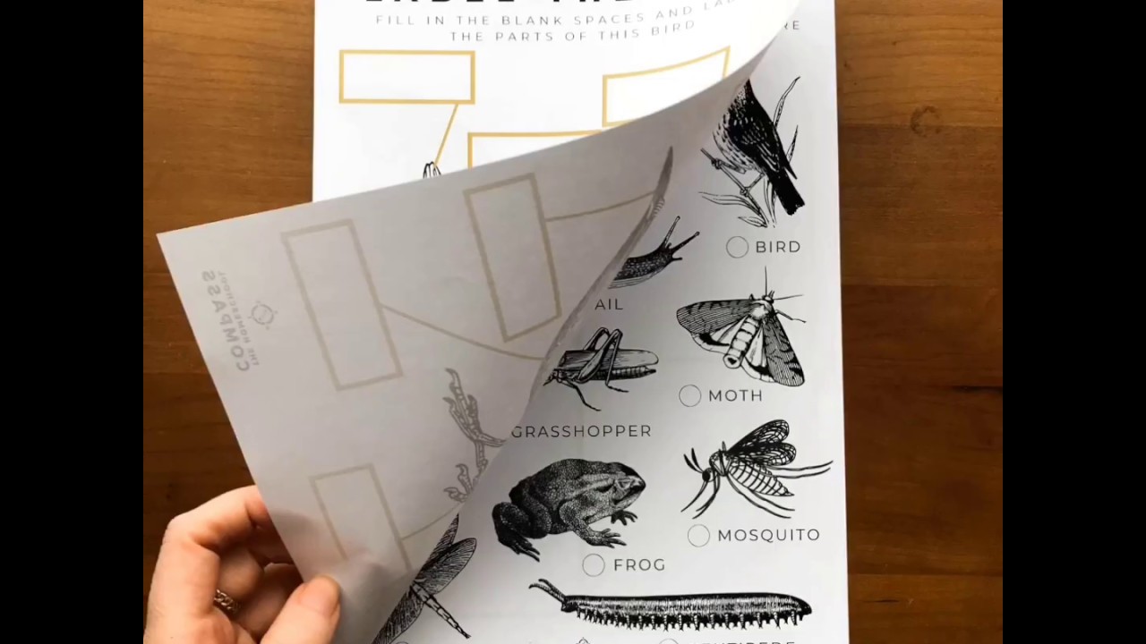Spring Nature Study Printables