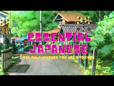 Essential Japanese 7: At the shopping mall 7-4