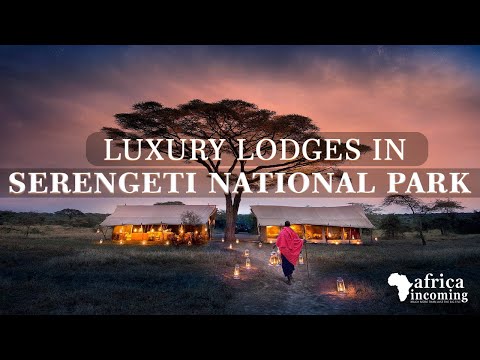 Top 5 Luxury Lodges in Serengeti National Park | Tanzania Safari | Africa Incoming