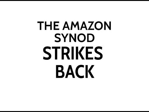 Vatican: Here’s What To Expect From The Amazon Synod – RETURN TO TRADITION