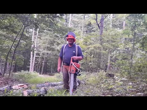 Husqvarna 575 Field Review, A Now Sorted Out 575 Project Breaking Down A Maple "Top" & Noodling