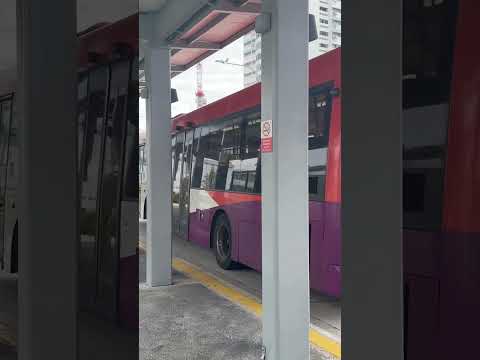 Scania K230UB Euro IV SBS8119R SBS Transit Bus service 135 to Jalan Kembangan