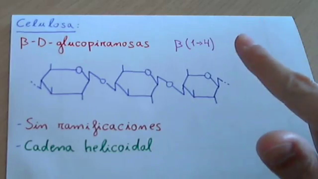 Celulosa / Biología