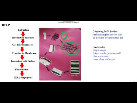 DNA Profiling