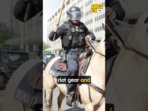 Journalist SHOT IN THE HEAD by LA police while covering protests