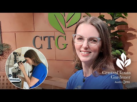 Andie Marsh Explains Soil Health: What Does It Mean?