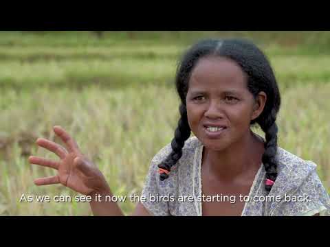 UNEP Voices from the Land
