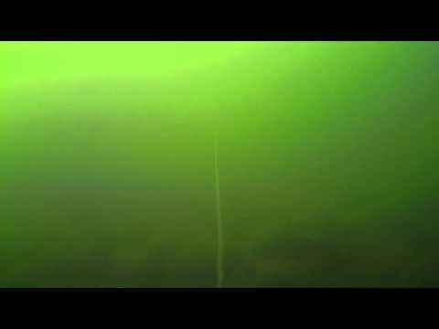 Willamette Shad Fishing with WaterWolf HD in-line camera