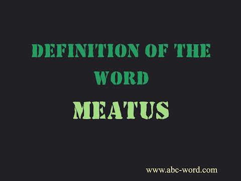 Definition of the word "Meatus"