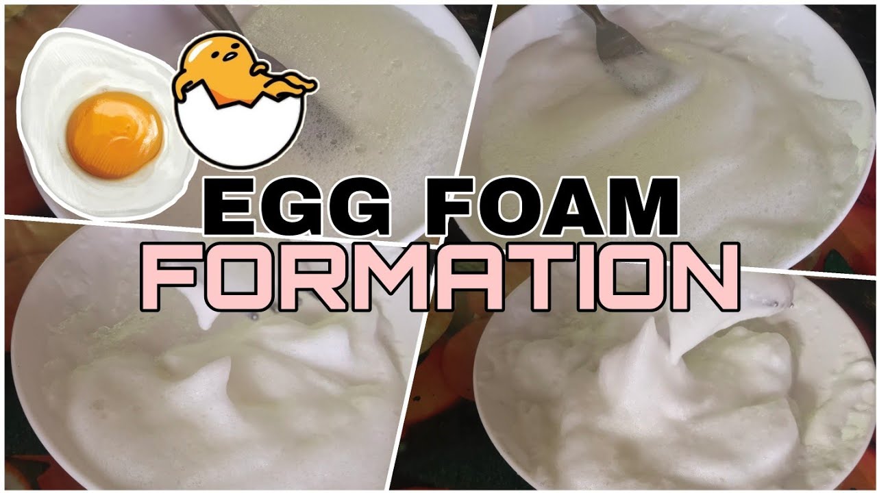 EGG FOAM FORMATION |(COOKERY 10)
