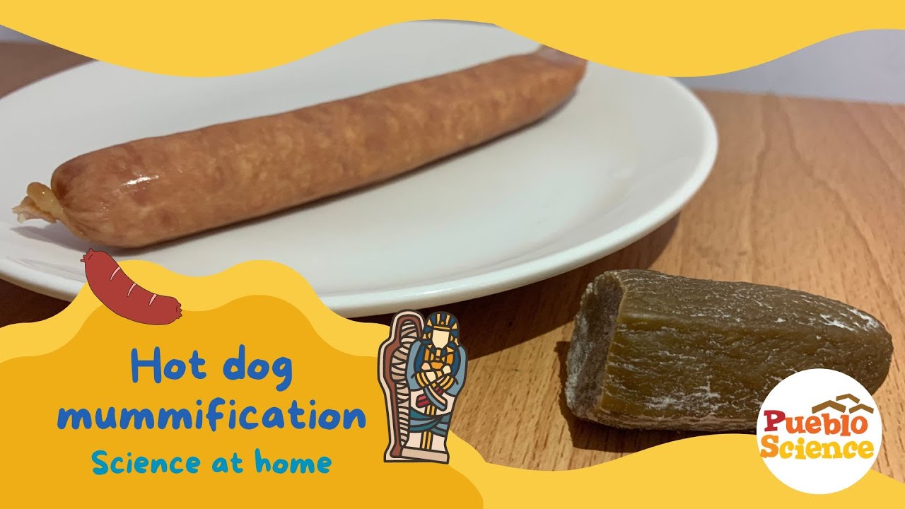 Science Fair Ideas for 7th Grade - 60 Perfect Projects - College ...