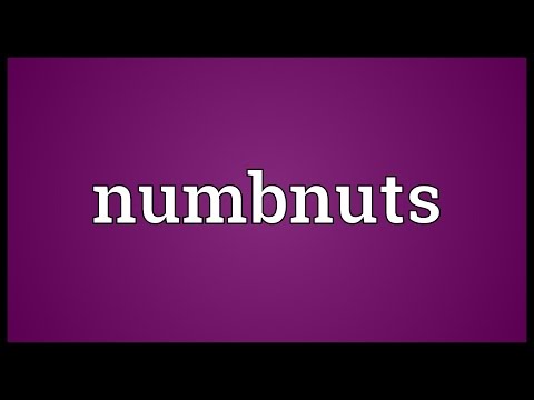 Numbnuts Meaning