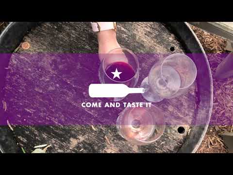 Come & Taste It: Messina Hof