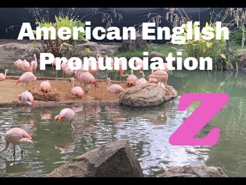 Pronouncing the Letter Z -- American English Pronunciation (Accent Reduction)