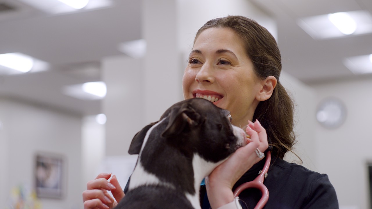 Spotlight on Emergency Medicine | Inside the ER at BluePearl Pet Hospital