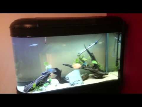 Boyu Fish Tanks - Wholesale Price & Mandi Rate for Boyu Fish Tanks