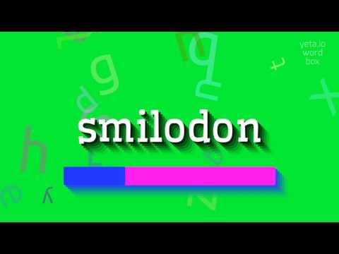 SMILODON - HOW TO SAY SMILODON? #smilodon