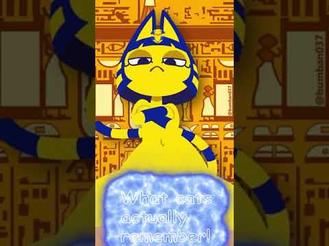 Why, why did I create this ???????????? (Ankha meme) #shorts