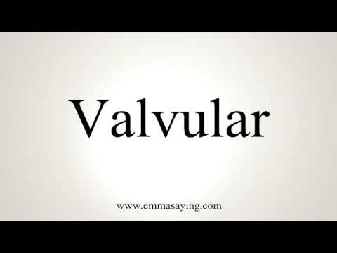 How To Pronounce Valvular