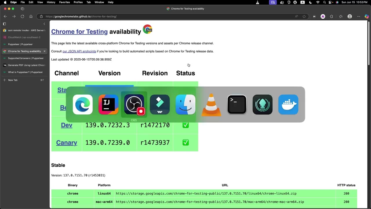 Generate PDF Using Puppeteer and Chrome on docker container based AWS Lambda Amazon Linux 2023