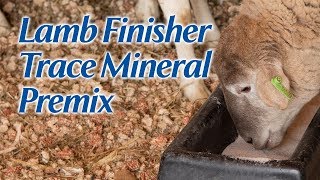 Lamb Finisher Trace Mineral Premix - Premier1Supplies