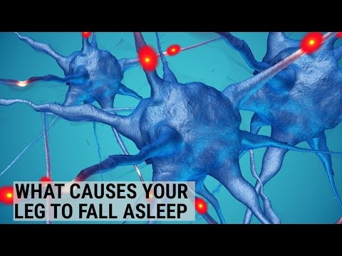 What causes your leg to fall asleep