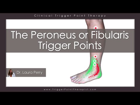 The Peroneus or Fibularis Trigger Points