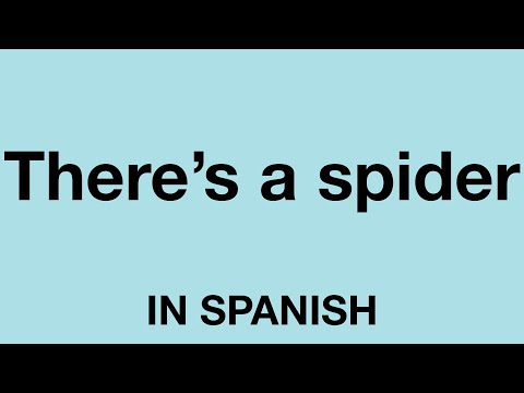 How To Say (There's a spider) In Spanish