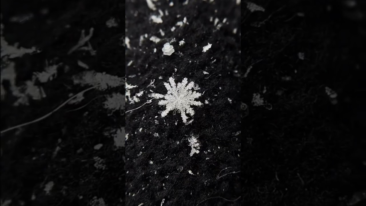 Snowflakes up close