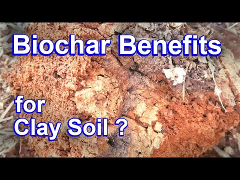Biochar Benefits - Improving Clay Soil for Garden and Lawns