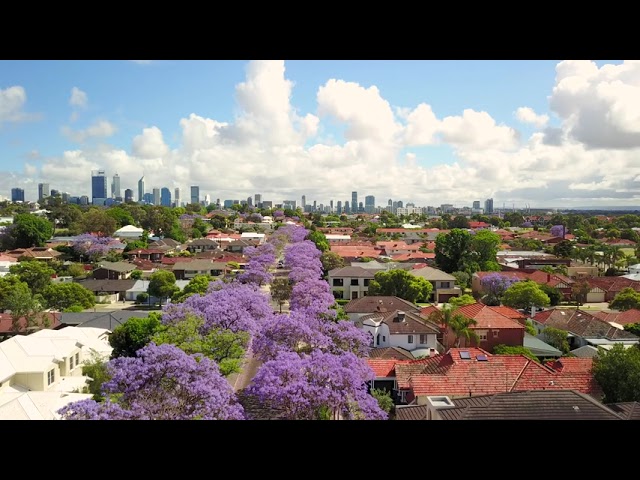 Ellis Corporate – Business Brokers Perth WA