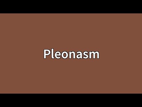 Pleonasm Meaning