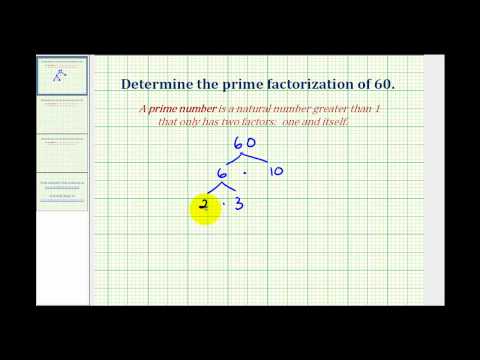 Ex 1: Prime Factorization