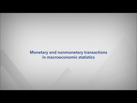 Monetary and nonmonetary transactions in macroeconomic statistics