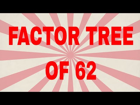 Factor tree of 62|Prime factor tree